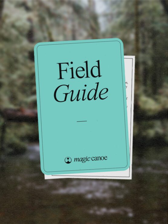 Magic Canoe - Branding, Strategy, Website - ZAK