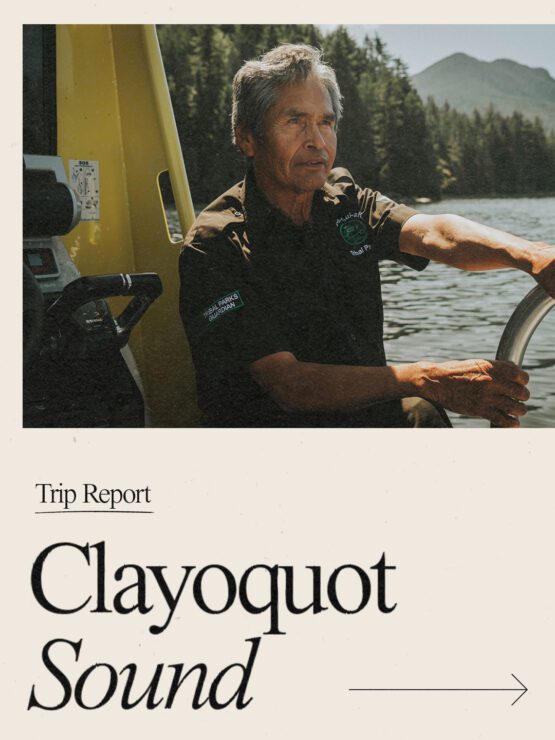 Magic Canoe - Branding, Strategy, Website - ZAK