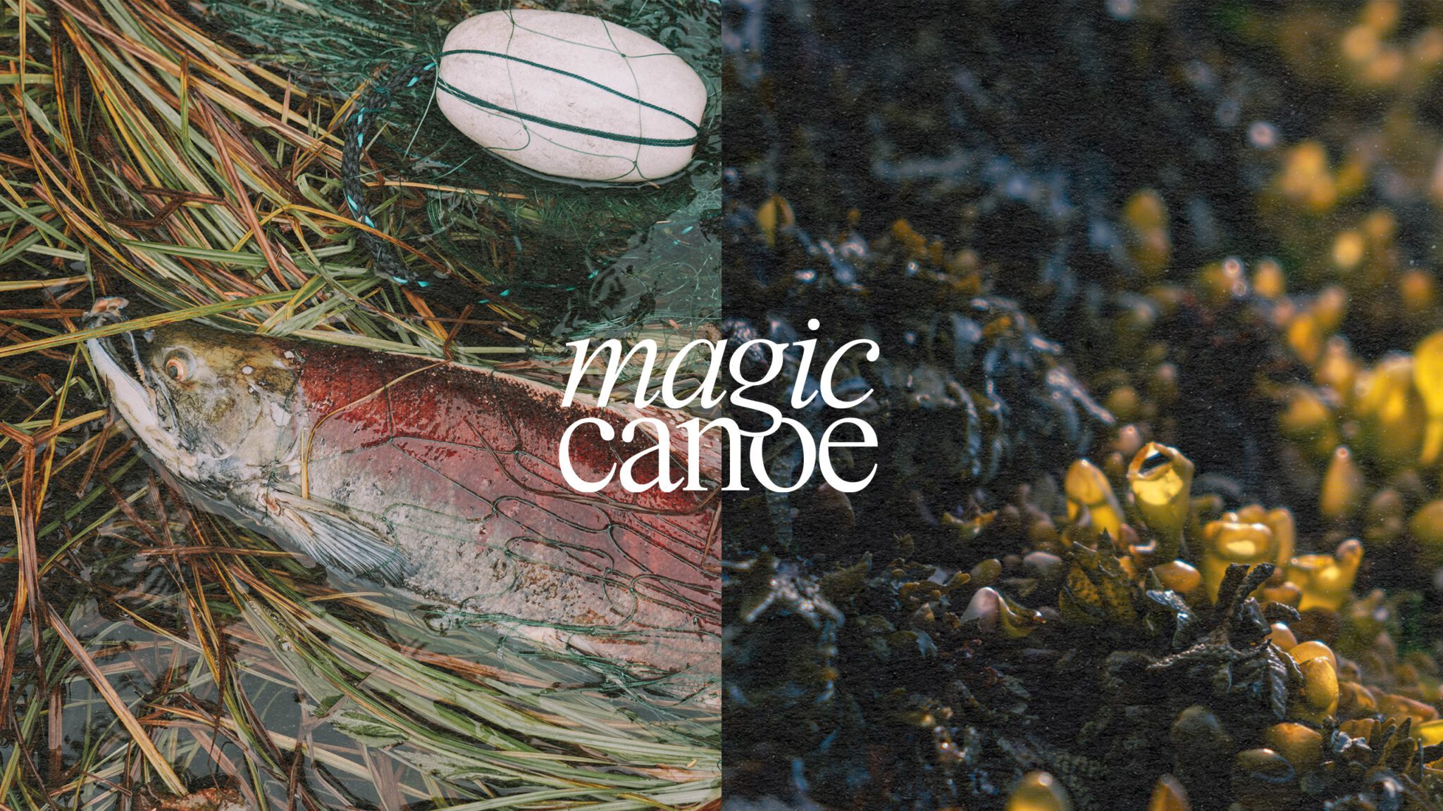 Magic Canoe - Branding, Strategy, Website - ZAK
